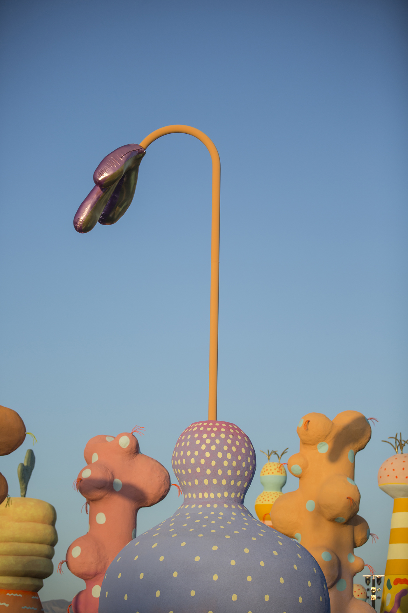 Chiaozza Garden - Adam Frezza & Terri Chiao — CHIAOZZA