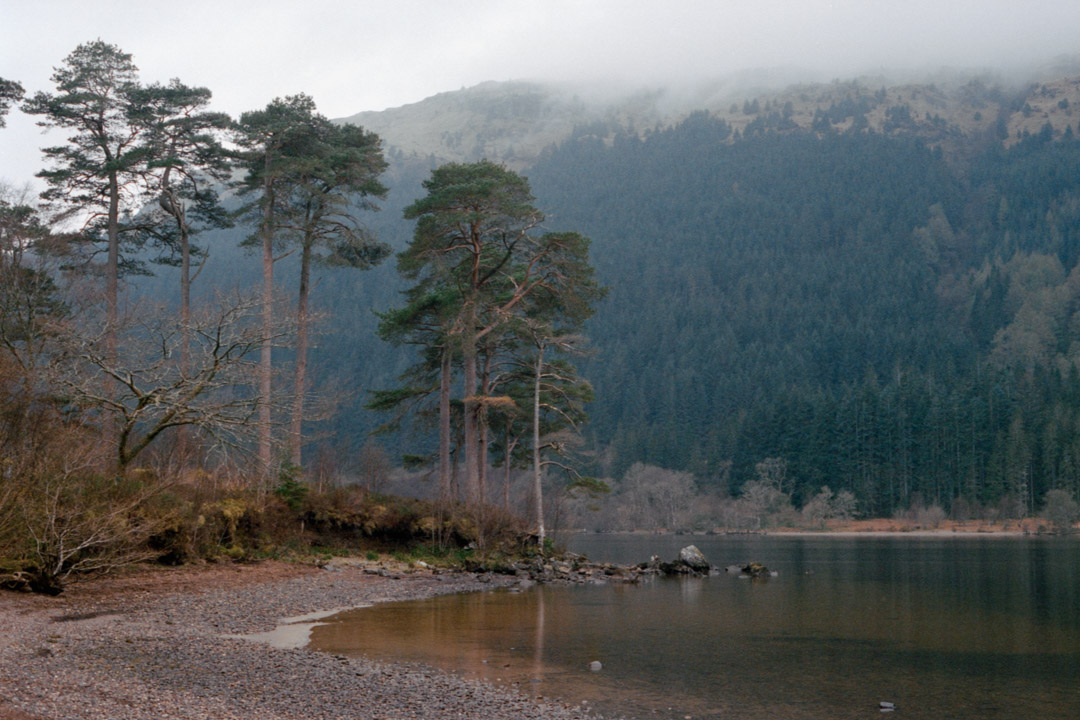 Peninsula - Nick Halstead