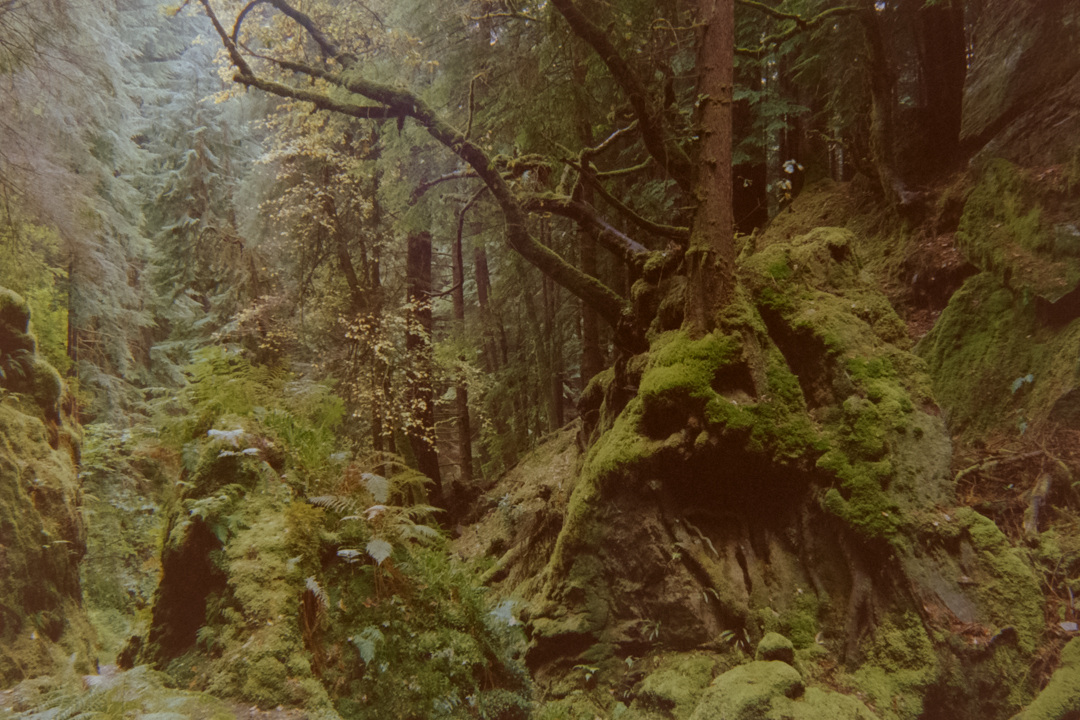 Peninsula - Nick Halstead