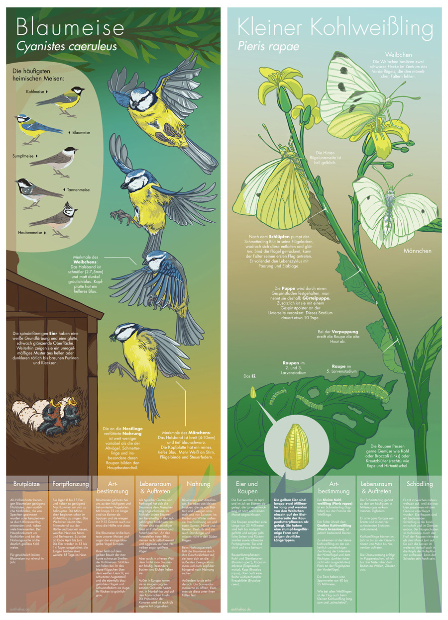 Barbara Wittmann - HAWportfolio