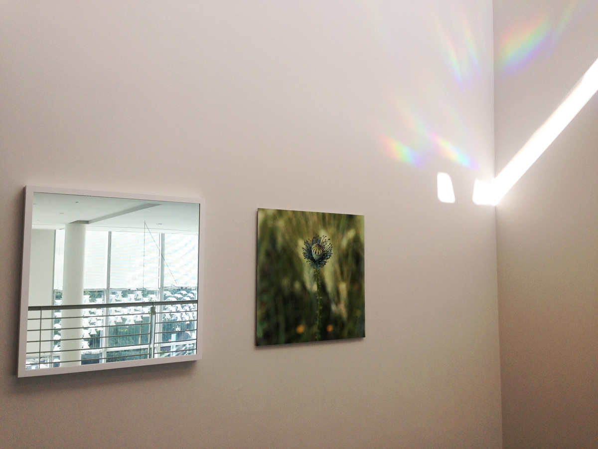 Encounter | EXHIBITIONS - Slow Research Lab