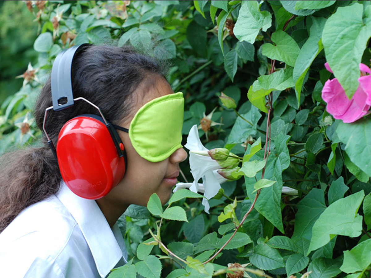 Inquiry | SPACE | Perceived - Slow Research Lab