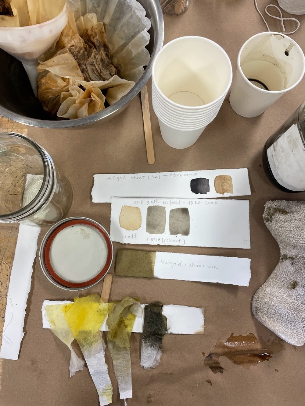 Make Oak Gall Ink - Meet the Oak Gall