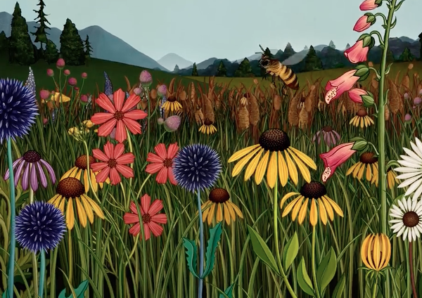 Short Animation: Story of Flowers - Stephen Packe