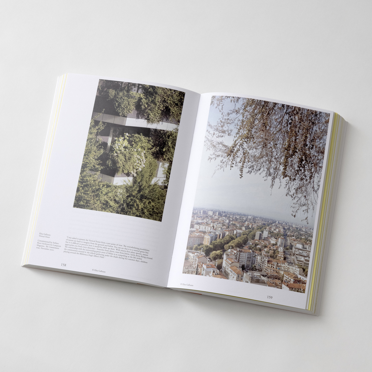 GREEN OBSESSION, Stefano Boeri Architetti, 2022 - Elisa Galluzzo