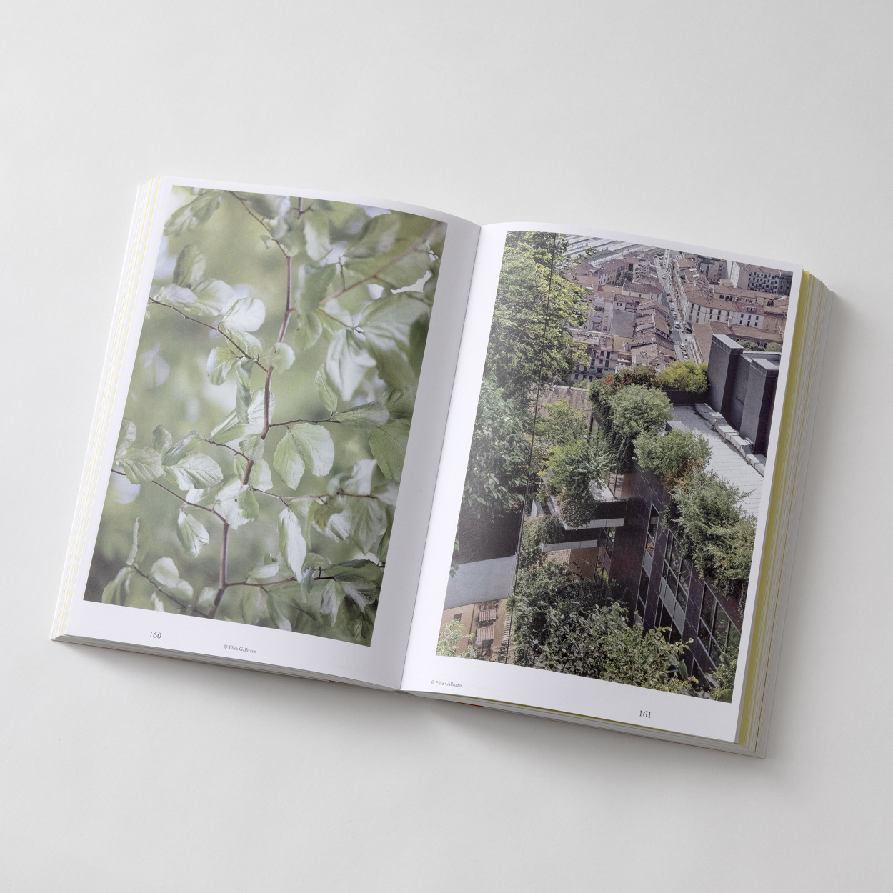 GREEN OBSESSION, Stefano Boeri Architetti, 2022 - Elisa Galluzzo