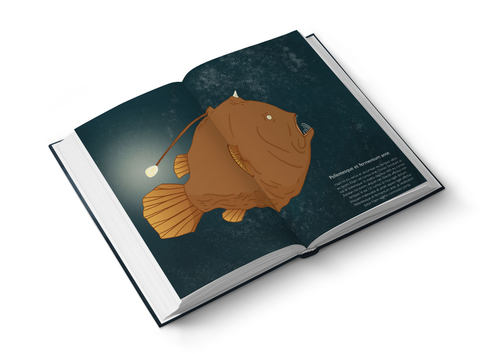 Illustrated Creatures of the Depths - potatofinch.com