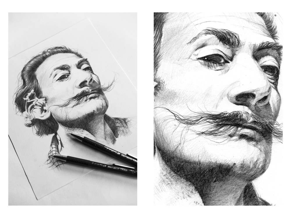 various drawing - wildarea