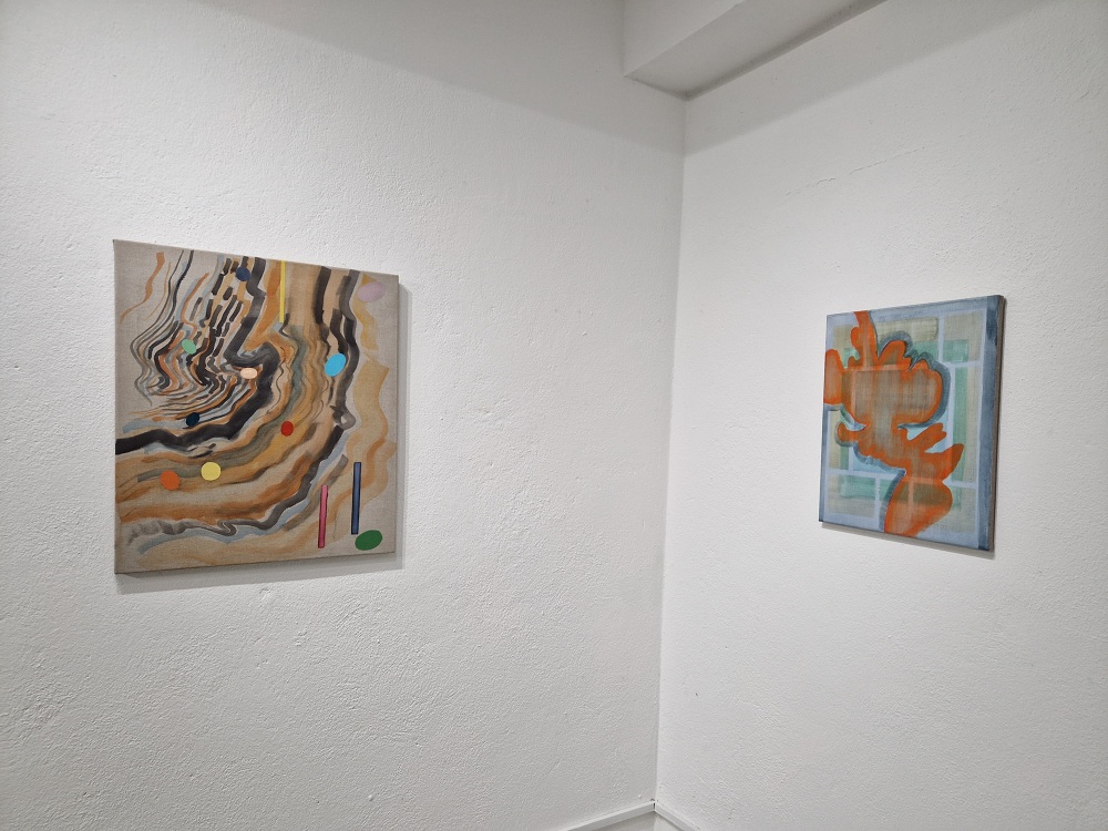 Sept-Nov 2023 | Exhibition | 'Strange Signals' at Ardgillan Castle ...