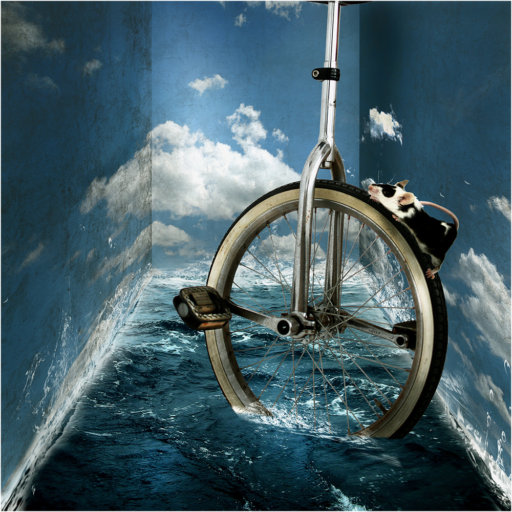 Water room - curiosity.design