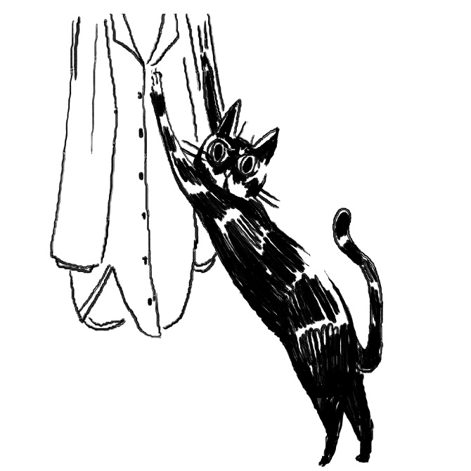 Illustration - Marion Roussel