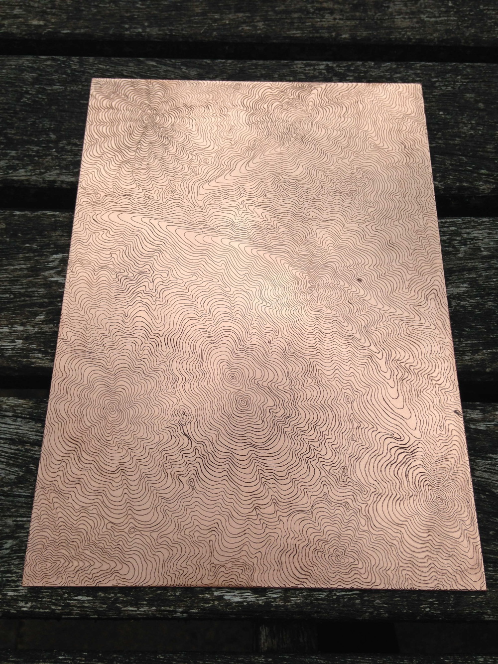 Contour Etching Plates - Helen Carter Fine Art