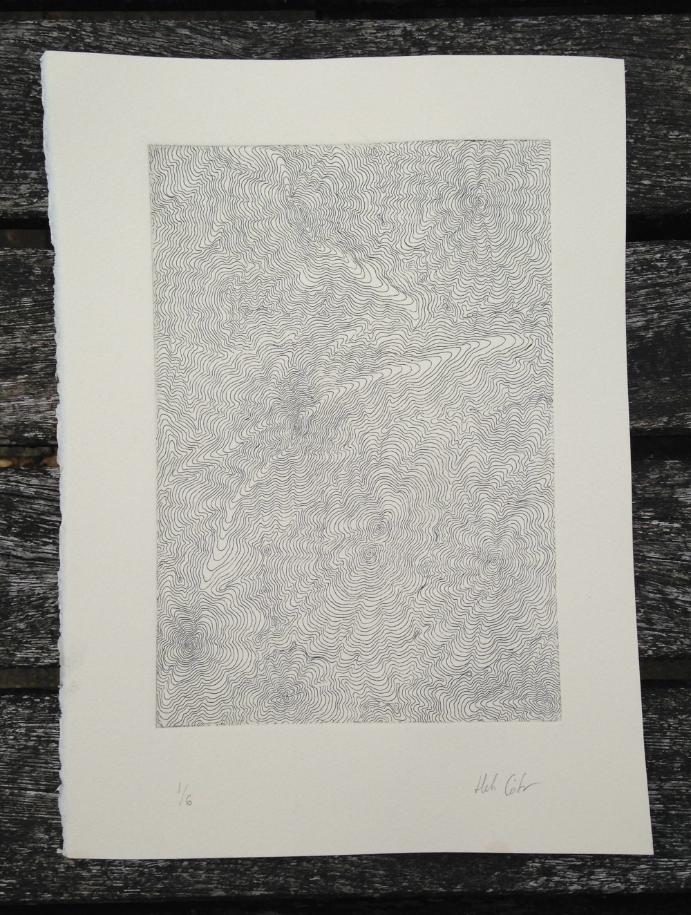 Contour Prints - Helen Carter Fine Art