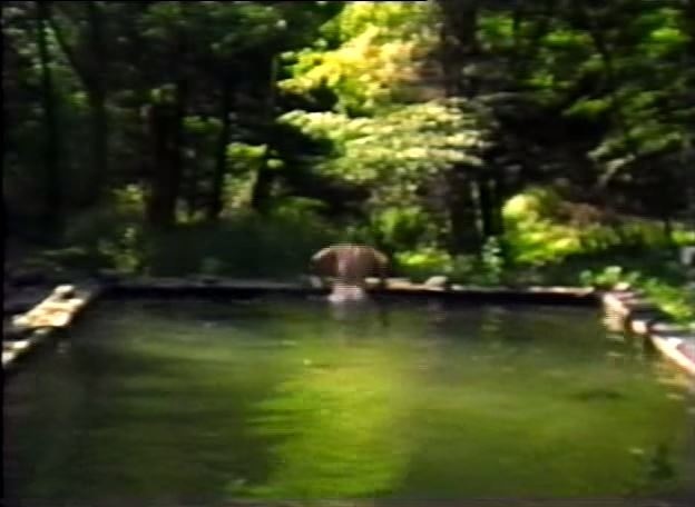 La elipsis de la piscina y el nadador. The Swimmer, de Frank Perry ...