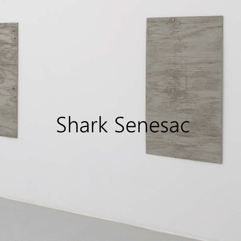 Shark Senesac - throughaglassdarkly