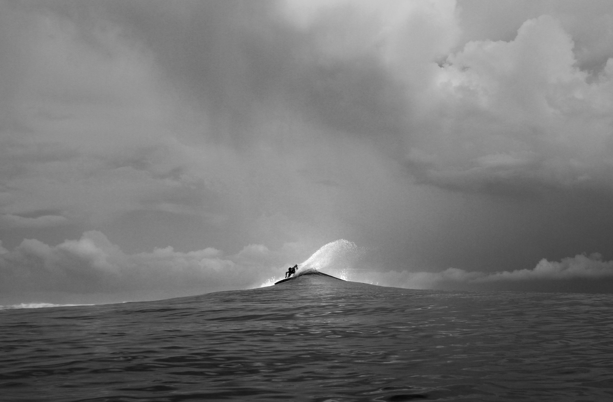 Endless Summer - Forward Krew