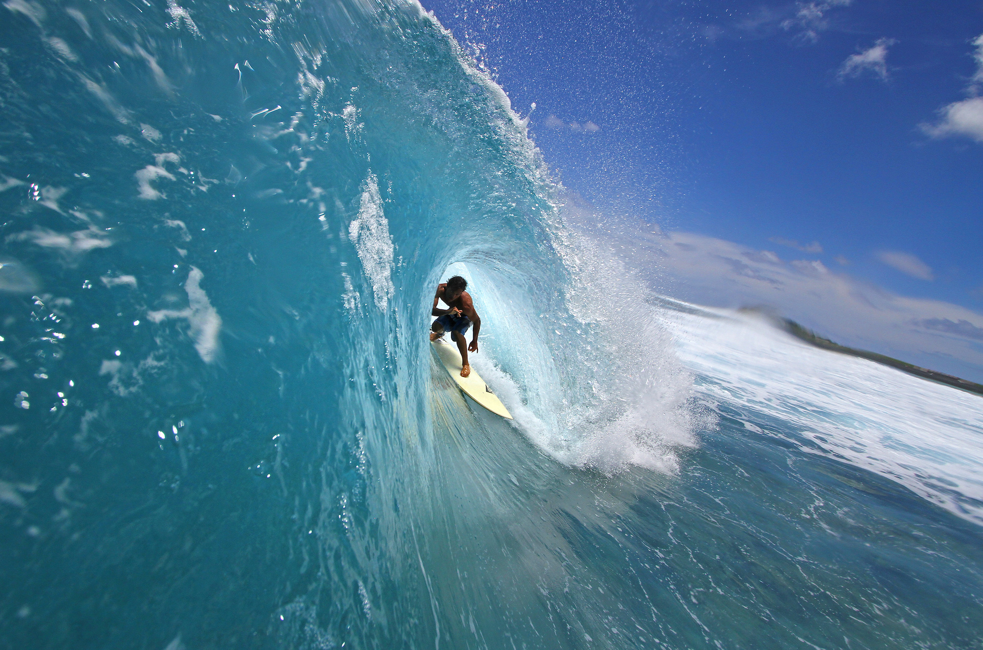 Endless Summer - Forward Krew