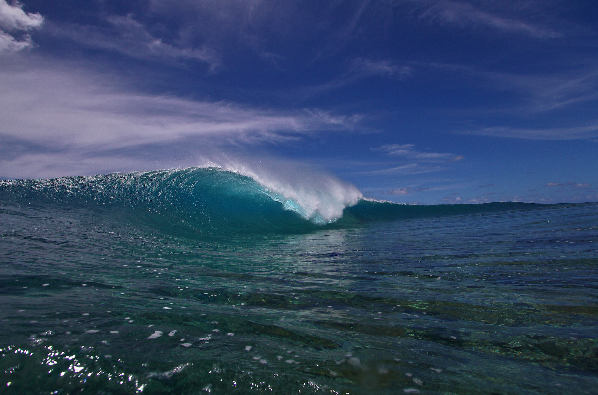 Endless Summer - Forward Krew