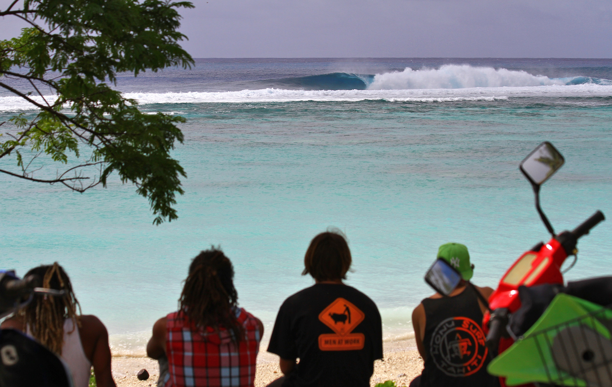 Endless Summer - Forward Krew