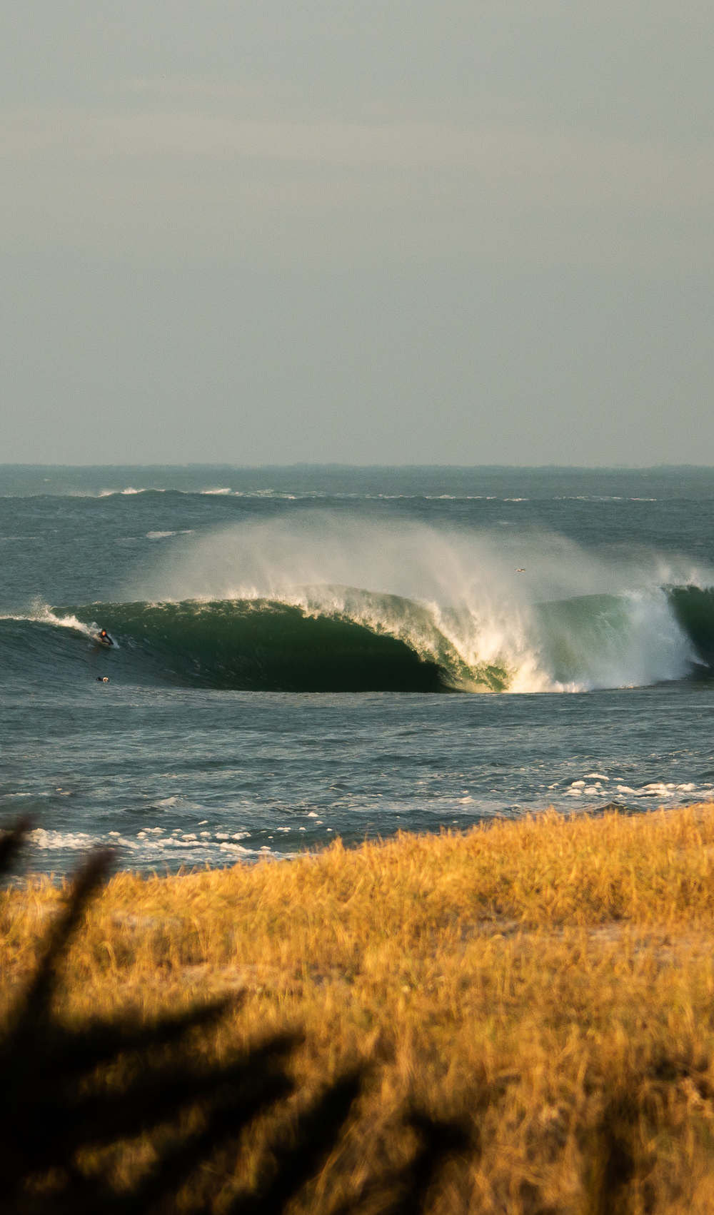 Fous ta cagoule - Forward Krew
