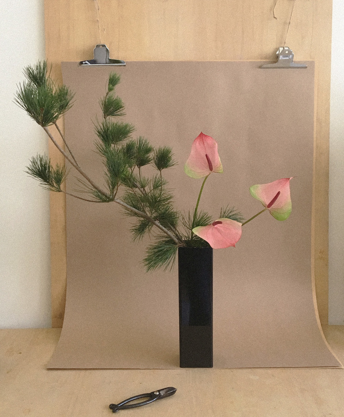 NAGEIREBANA II - ch.hsi