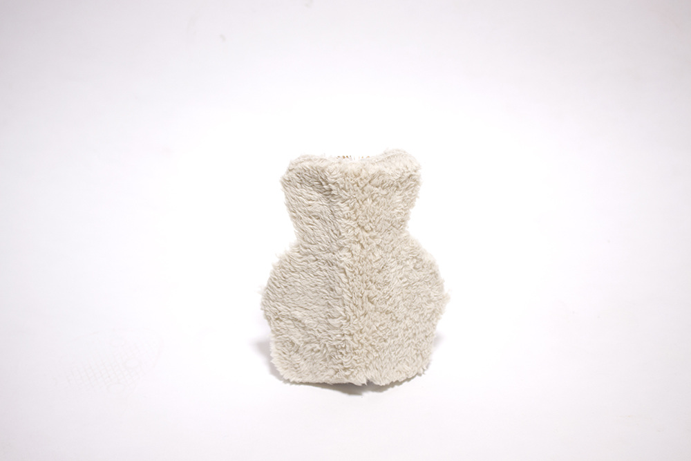 Teddy Bear Essay Book Design - Indie Wang