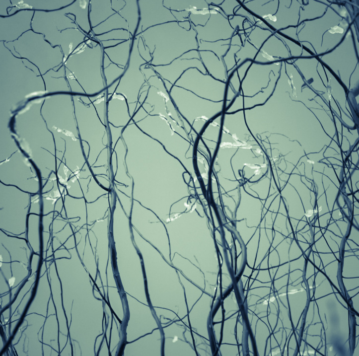 Dim light broken darkness - Sporo