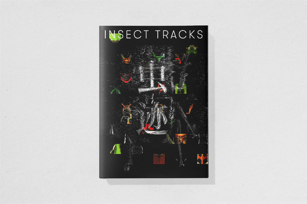 INSECT TRACKS - wangzhiqin