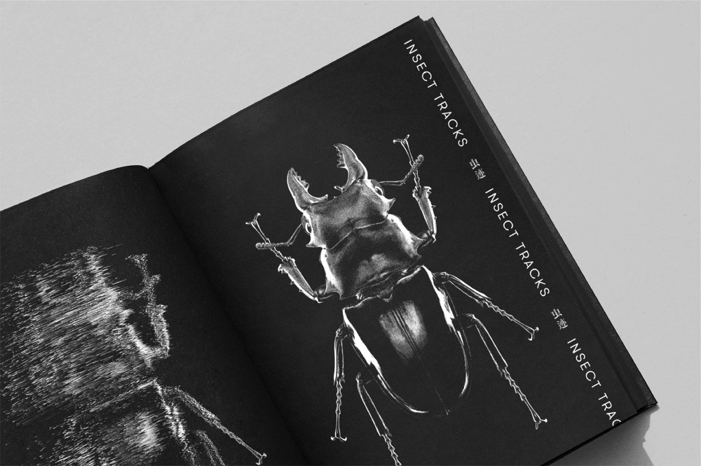 INSECT TRACKS - wangzhiqin