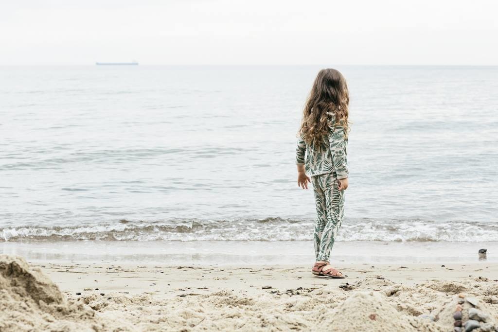 Ferns - Jan Estrada-Osmycki