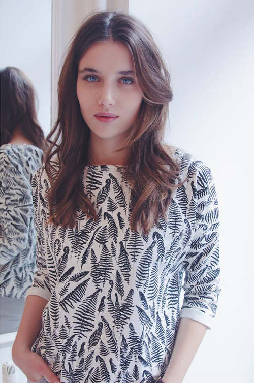 Ferns - Jan Estrada-Osmycki