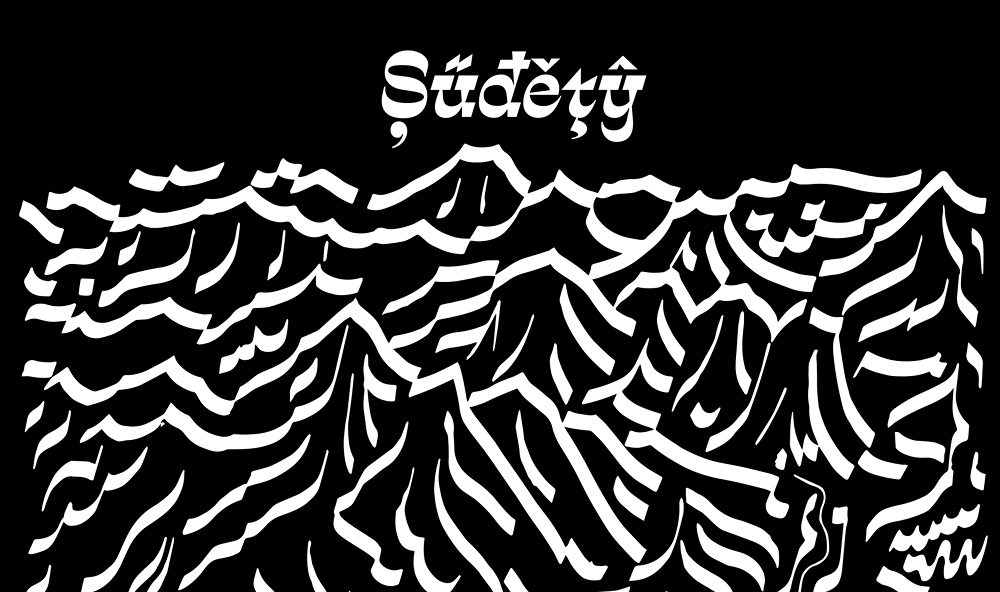 Ferns - Jan Estrada-Osmycki