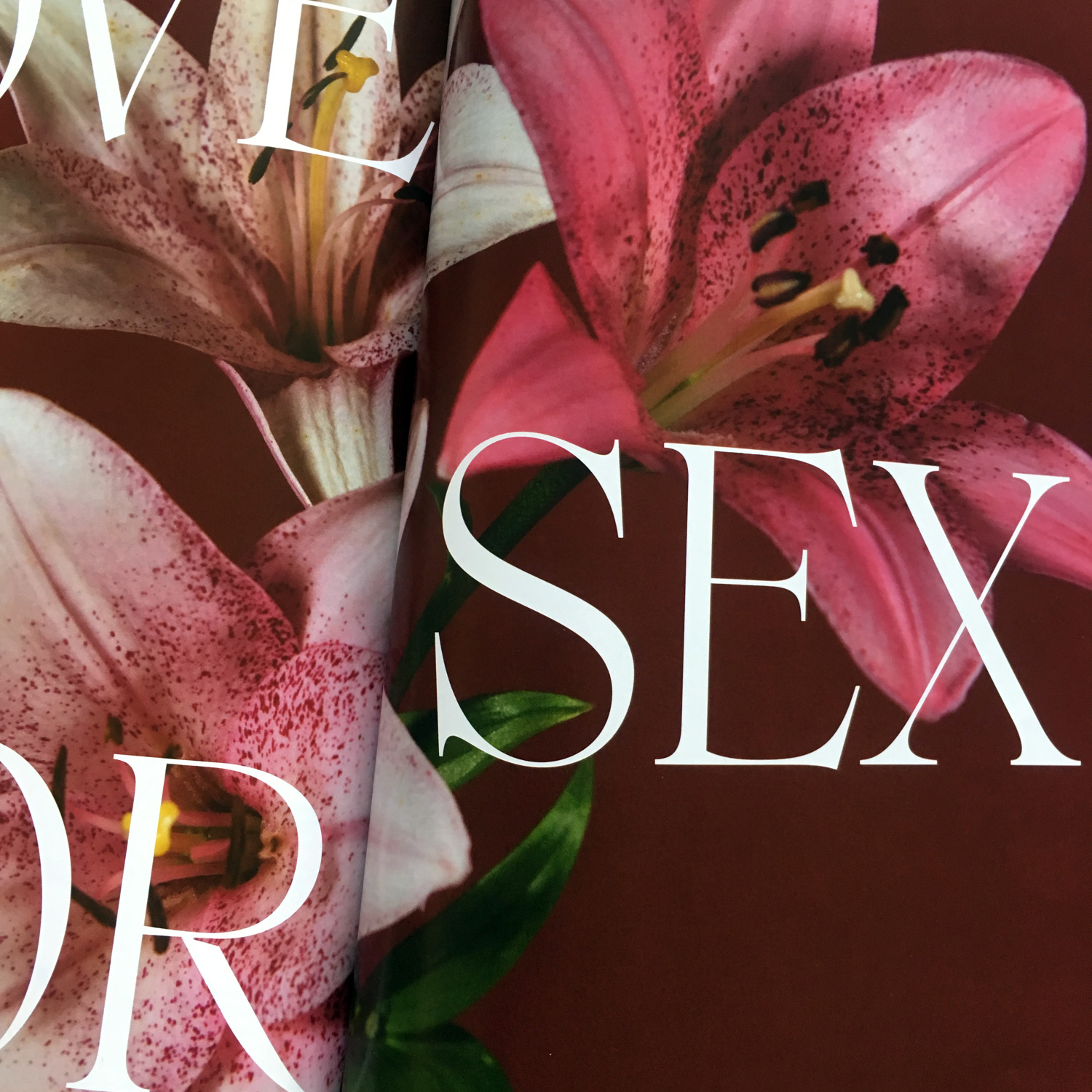 Wulkan Display - Jan Estrada-Osmycki