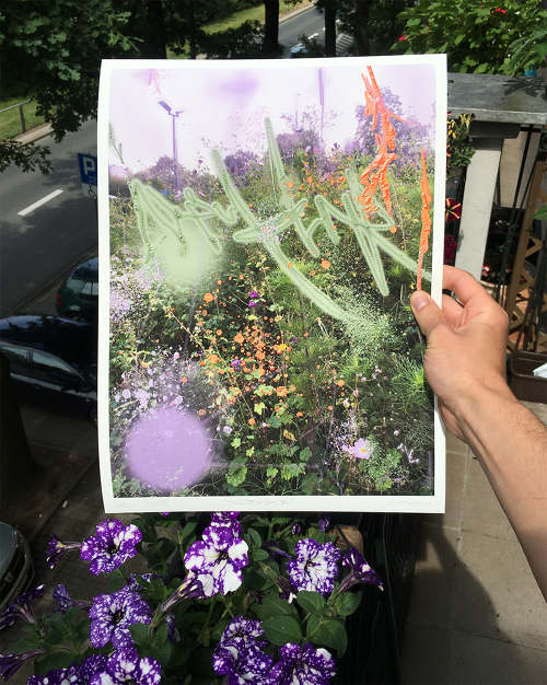 Ferns - Jan Estrada-Osmycki