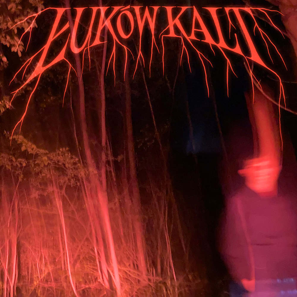 Ferns - Jan Estrada-Osmycki