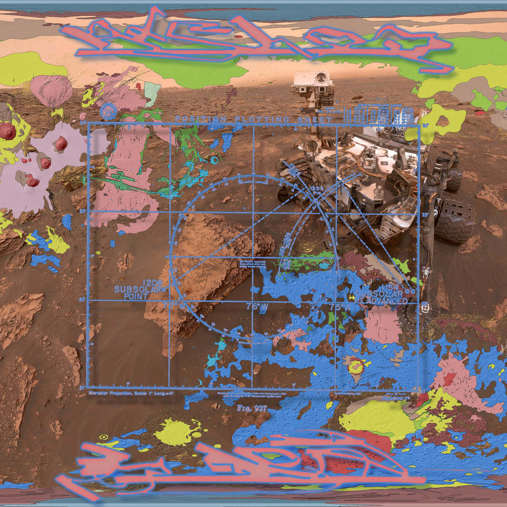 Ferns - Jan Estrada-Osmycki