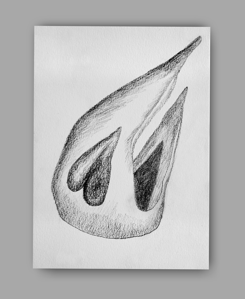 BW drawings - yulman