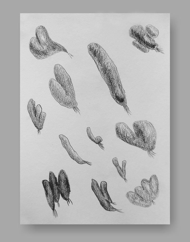 BW drawings - yulman