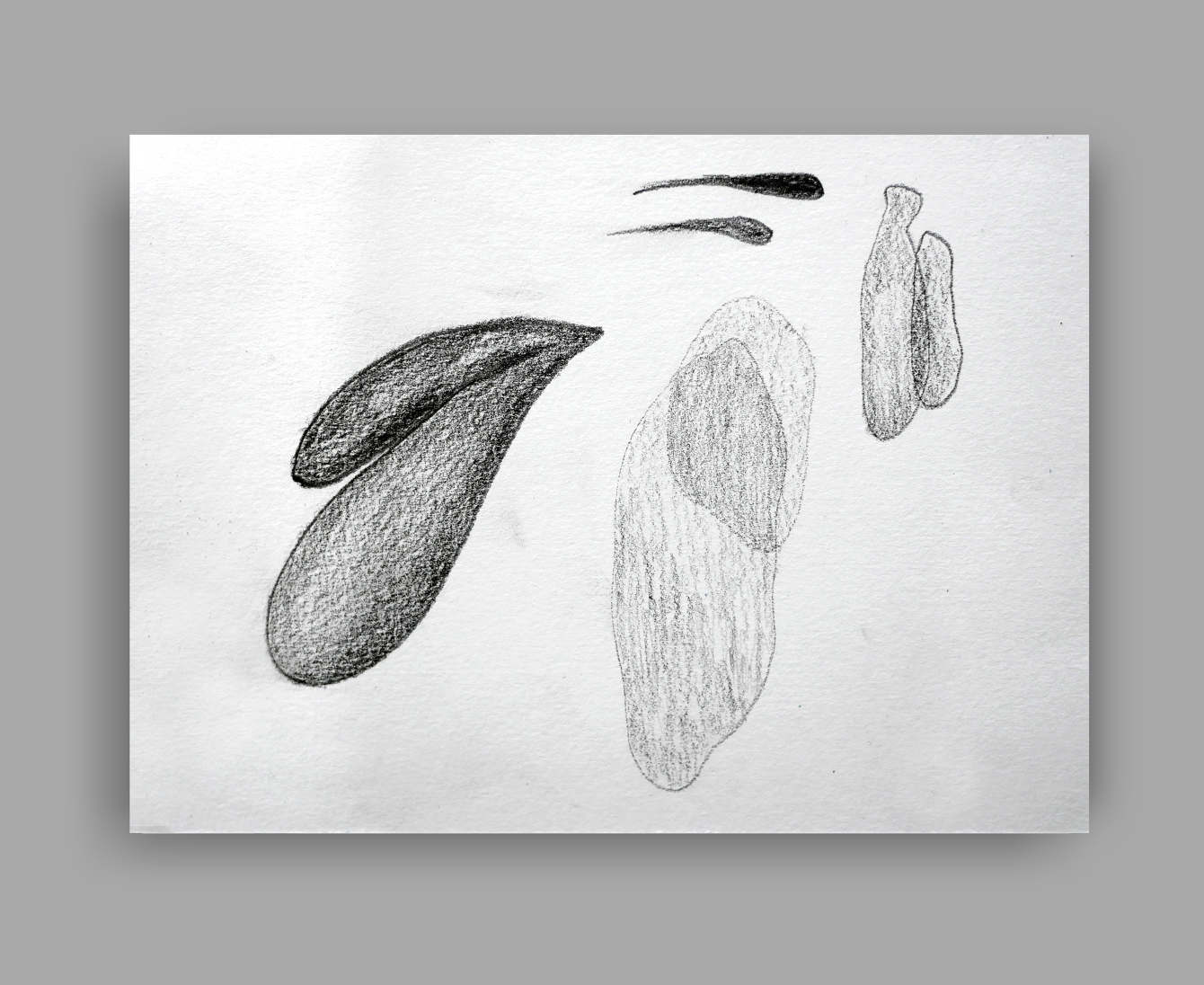 BW drawings - yulman