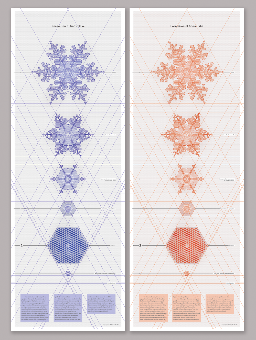 Formation of Snowflake - eunbee ko