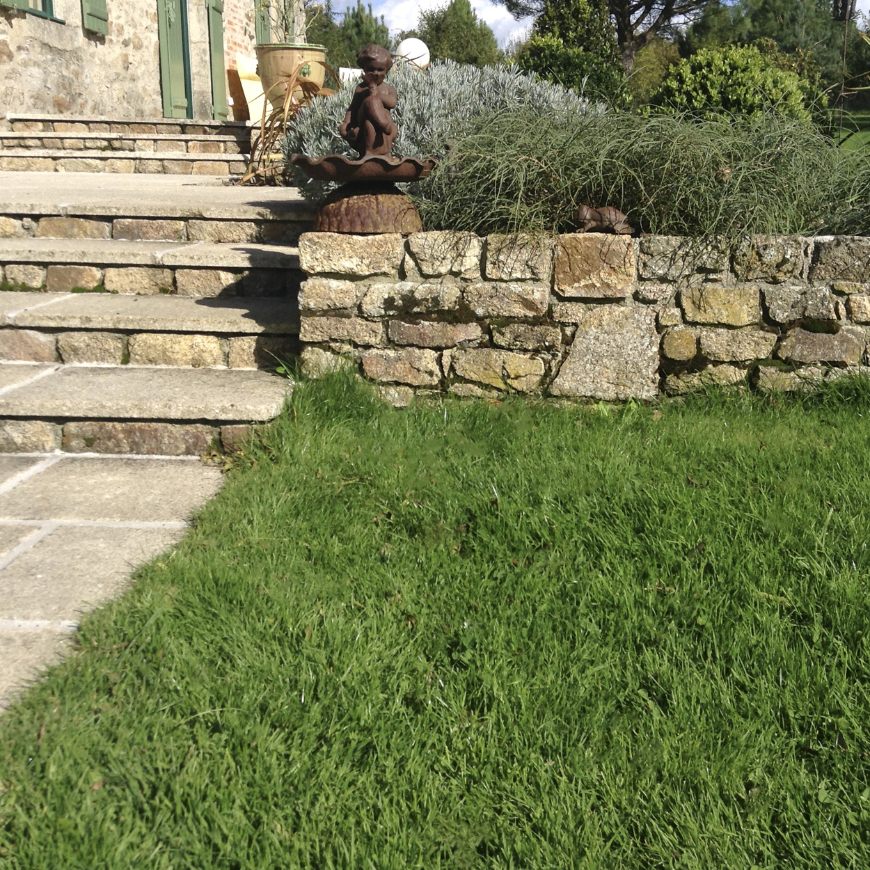 Terrasse et muret d'ornement - pierre-et-paysage