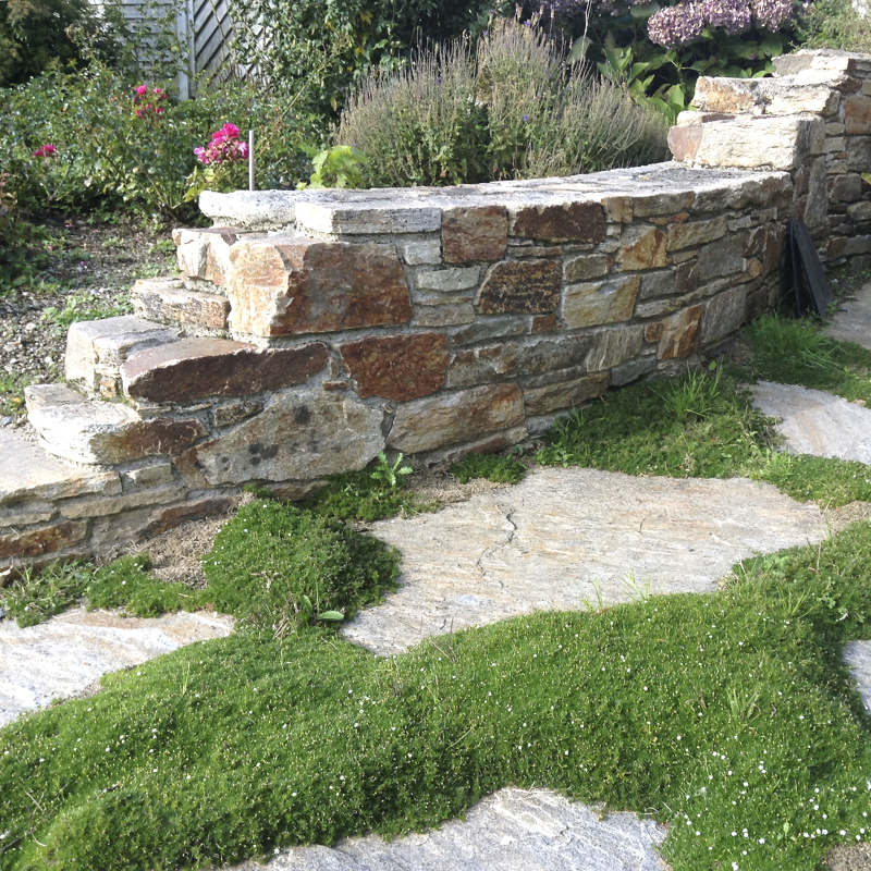Terrasse et muret d'ornement - pierre-et-paysage
