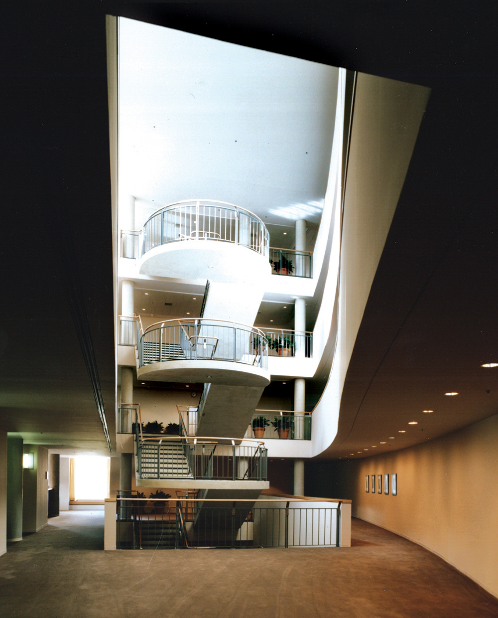 IBM, PALISADES - markjmarkiewicz.com