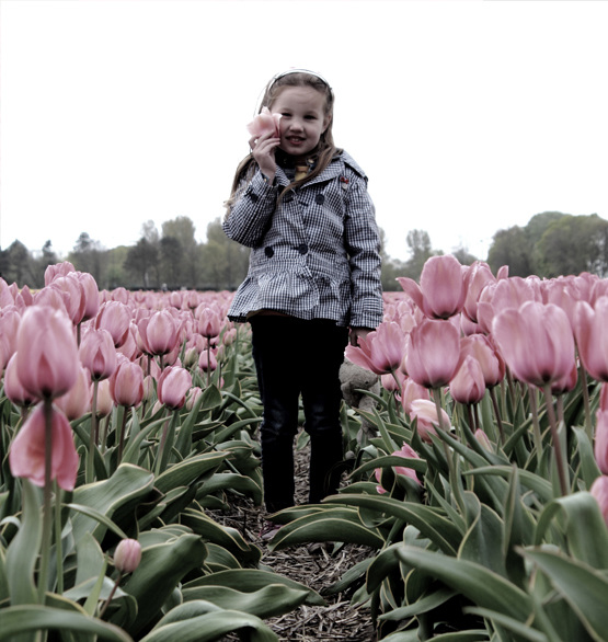 Nature - Pauline Clark