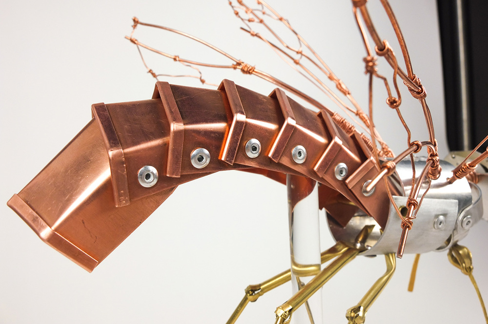 The Wasp - Jerry Ding