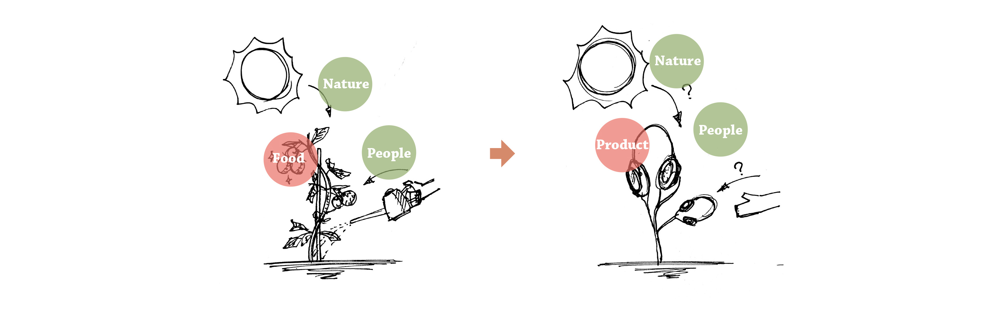 Growing Project: CoSprout - Jerry Ding