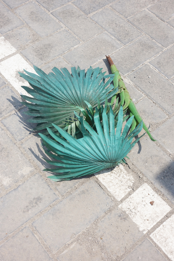 Random Scenery - lihuayu.com