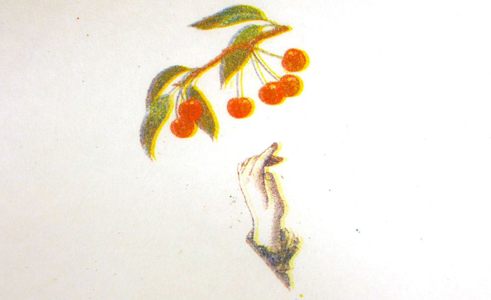 FOUR-COLOR PROCESS WITH A POLYESTER PLATE LITHOGRAPHY - stefanialusini.com
