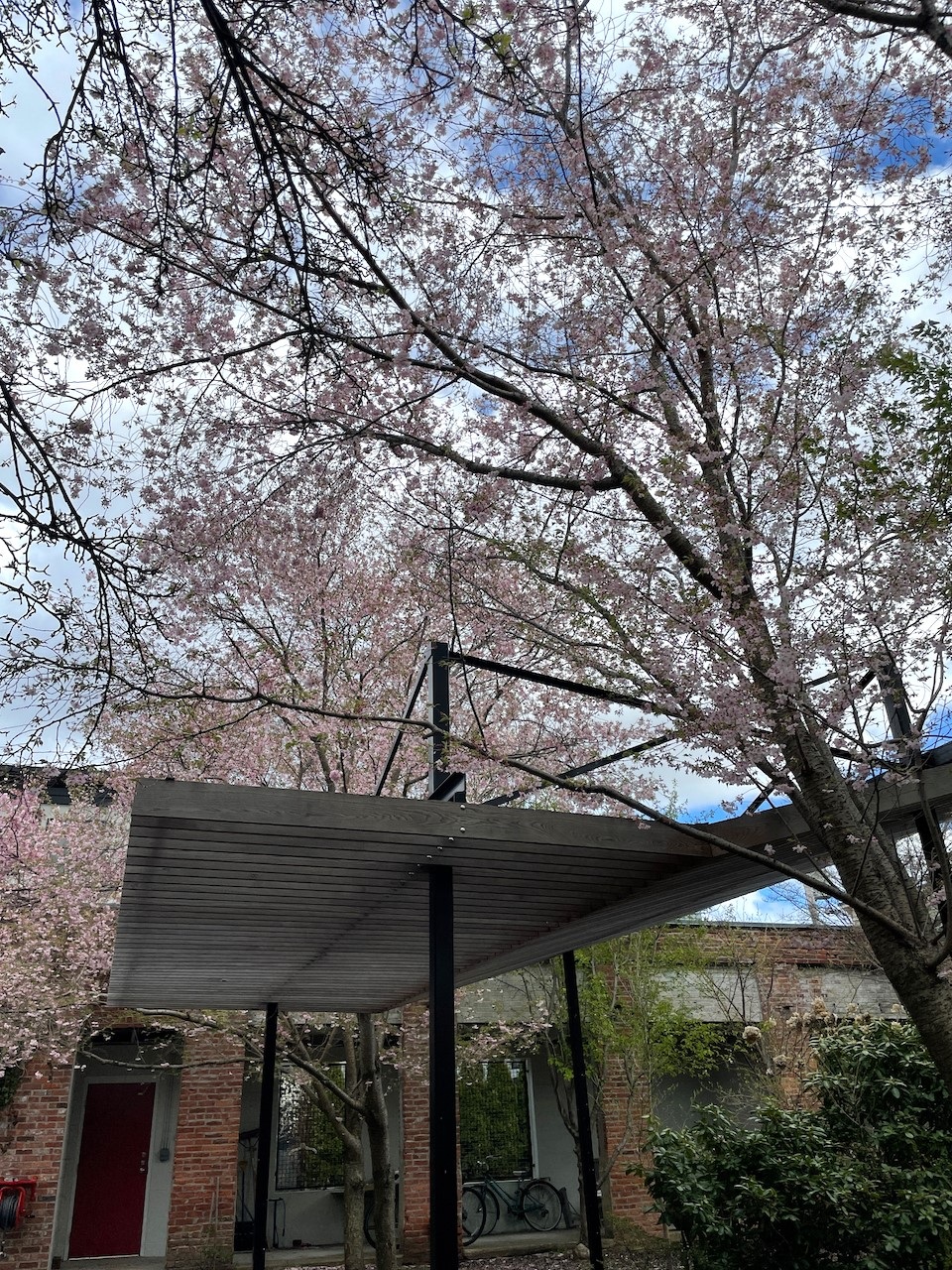 Courtyard Trellis - ethanlacy.com