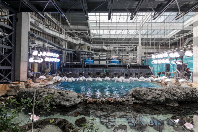 2013 - The Aquaphilia Project: III - Adrian Fish